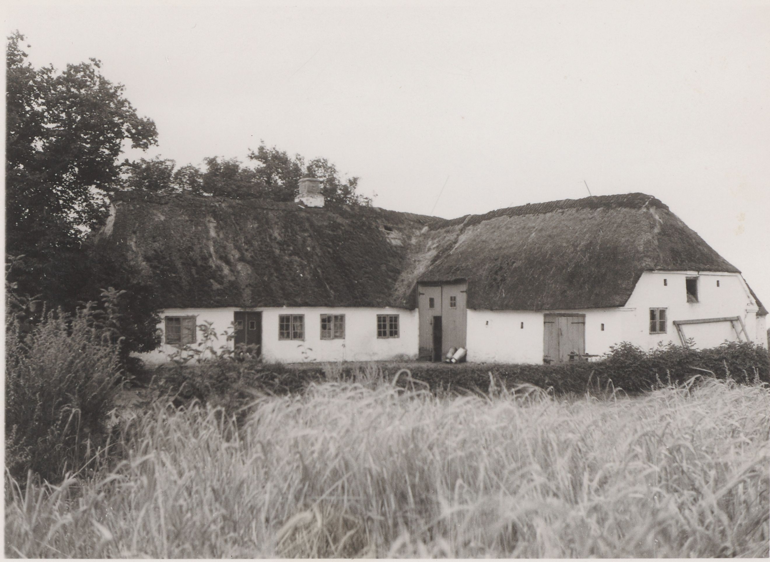 Bondegård, Store Darum, 1947 - Nationalmuseets Samlinger Online
