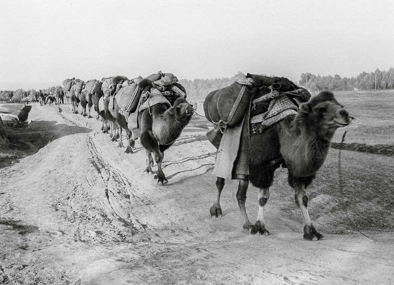 Mongolian caravan, 1938 - Nationalmuseets Samlinger Online
