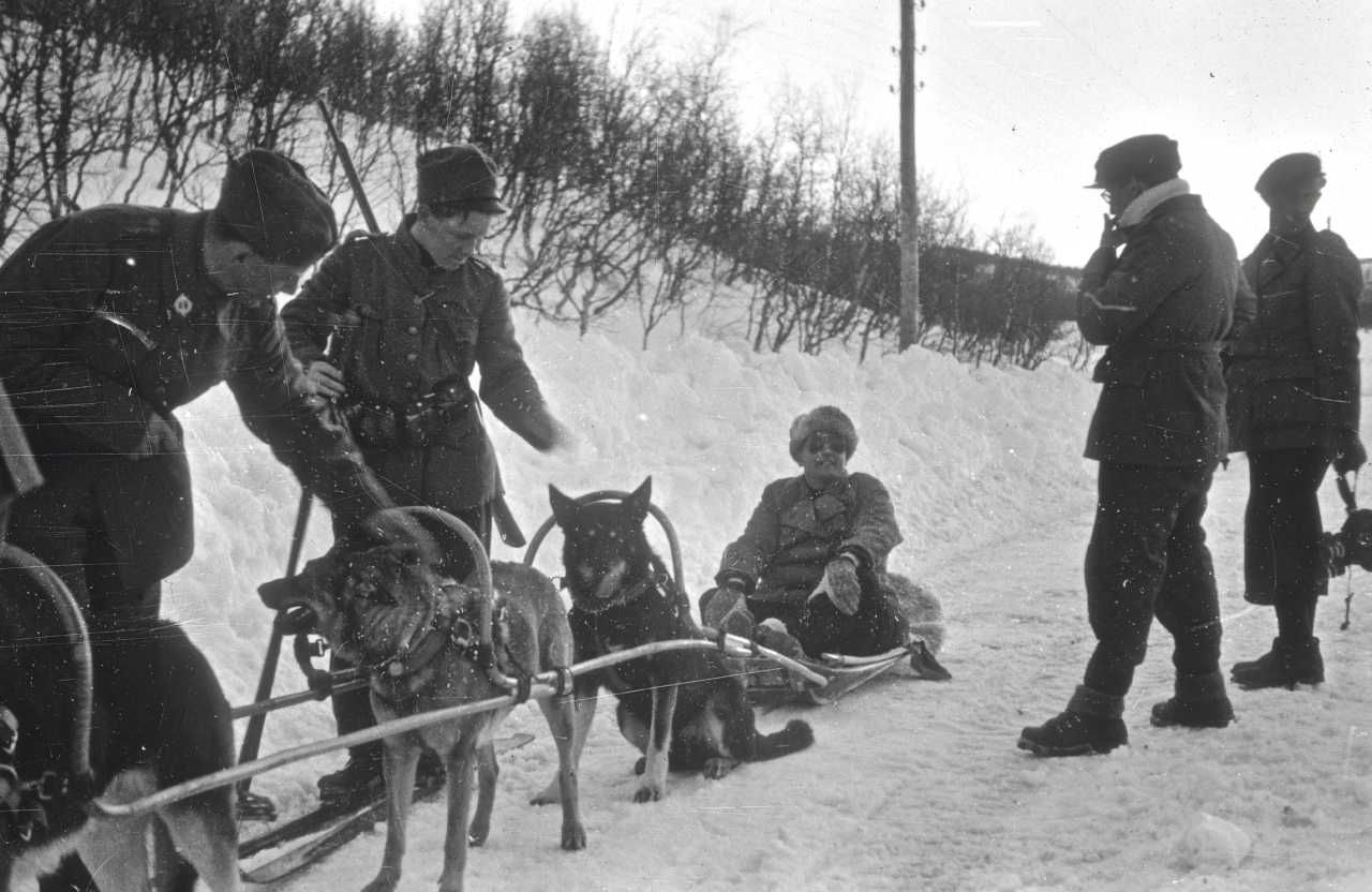 Diasserie: Kampene i Norge 1940 - Nationalmuseets Samlinger Online