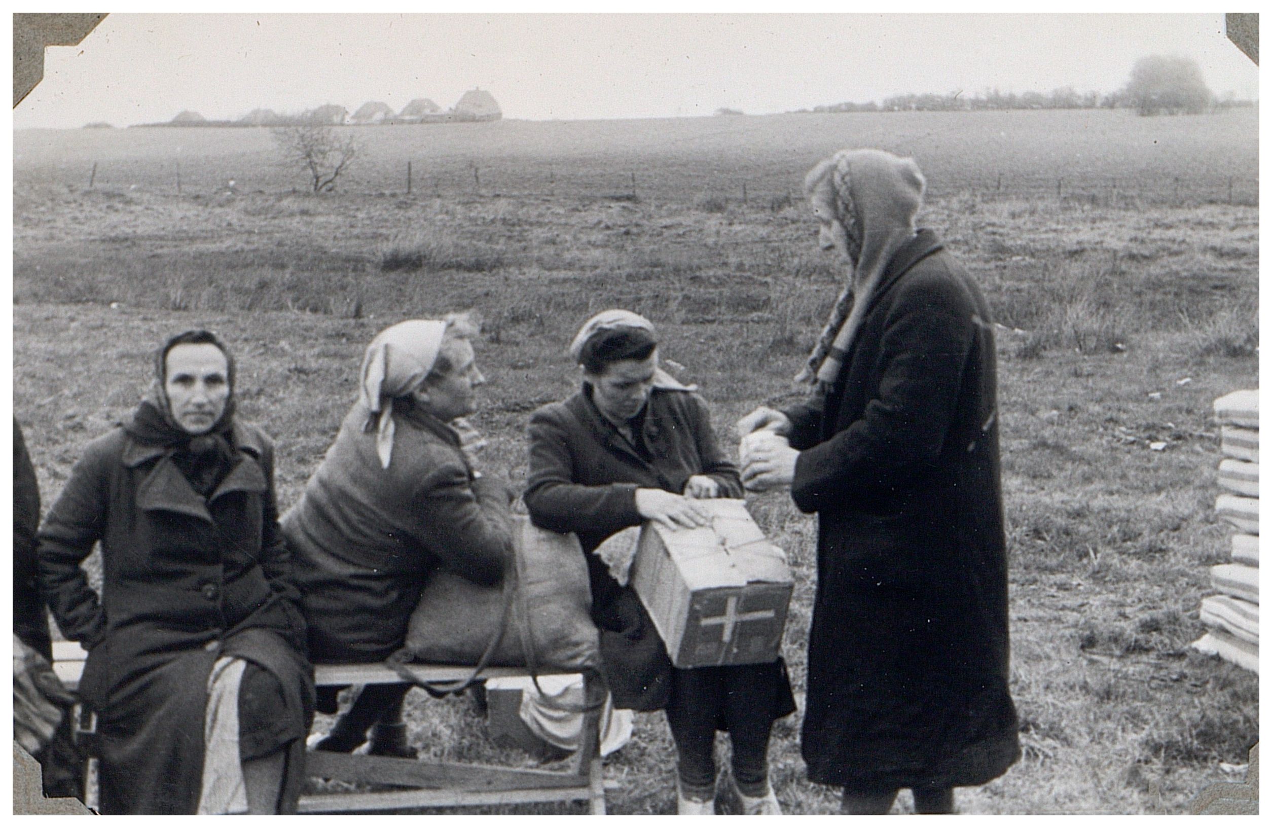 Fotoalbum vedr. de hvide busser - Nationalmuseets Samlinger Online